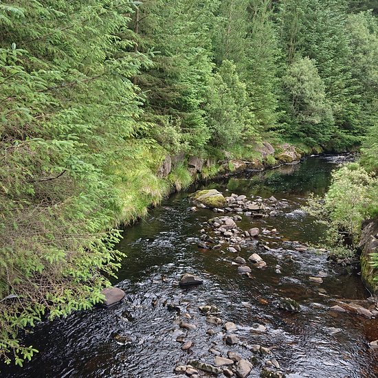 Glenshane Forest Ancient Mass Rock - An Teach Glas